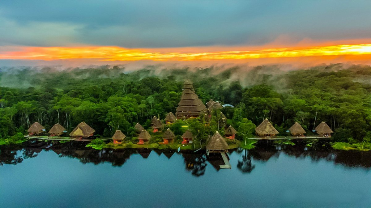 Consulta popular sobre el Yasuní: ¿una encrucijada? - Forbes Ecuador