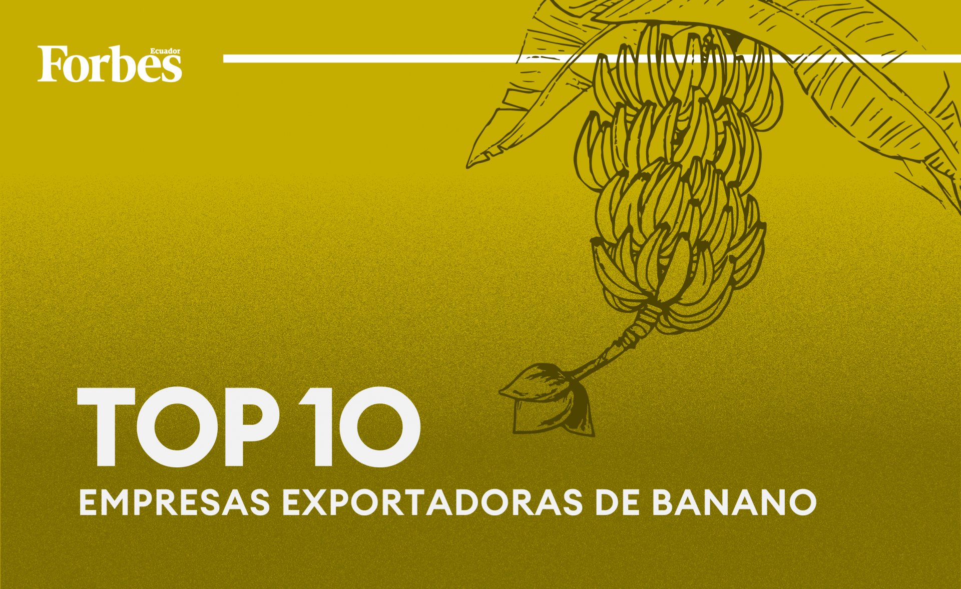 Top 10 empresas exportadoras de banano de Ecuador - Forbes Ecuador