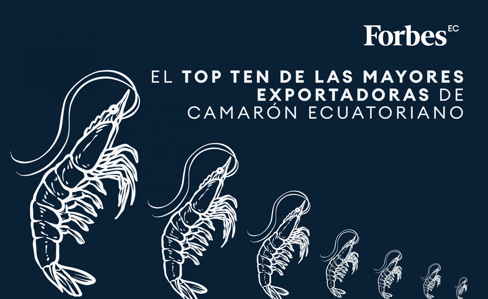 El top ten de exportadoras de camarón en el primer semestre de 2024 ...