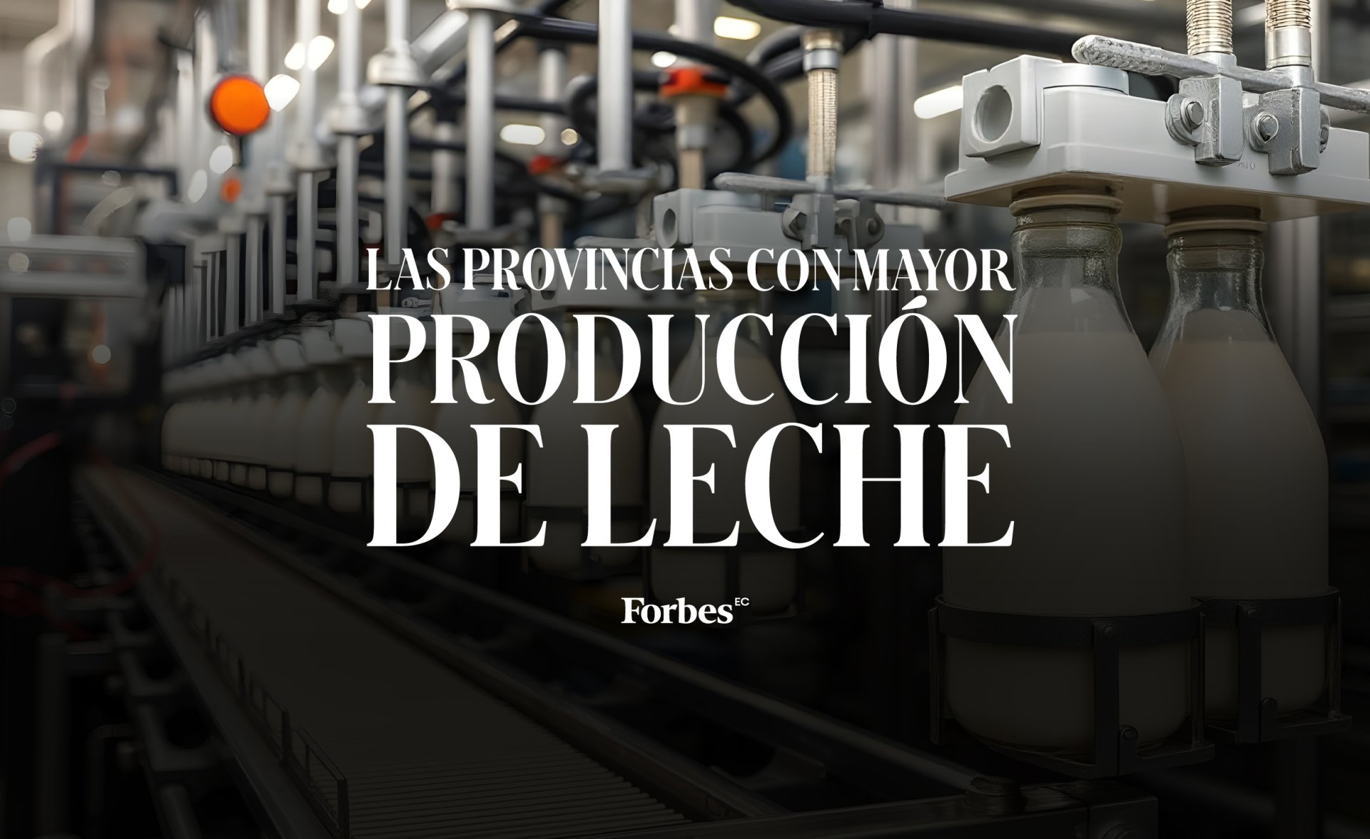 Estas son las provincias con mayor producción de leche - Forbes Ecuador